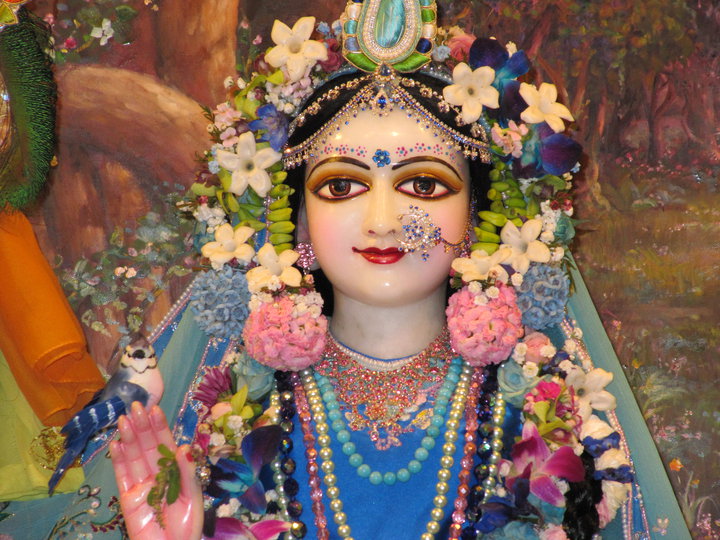 Devotees Vaishnavas: Krishna-kripa das, Mayapura: Travel Journal#6.9b ...