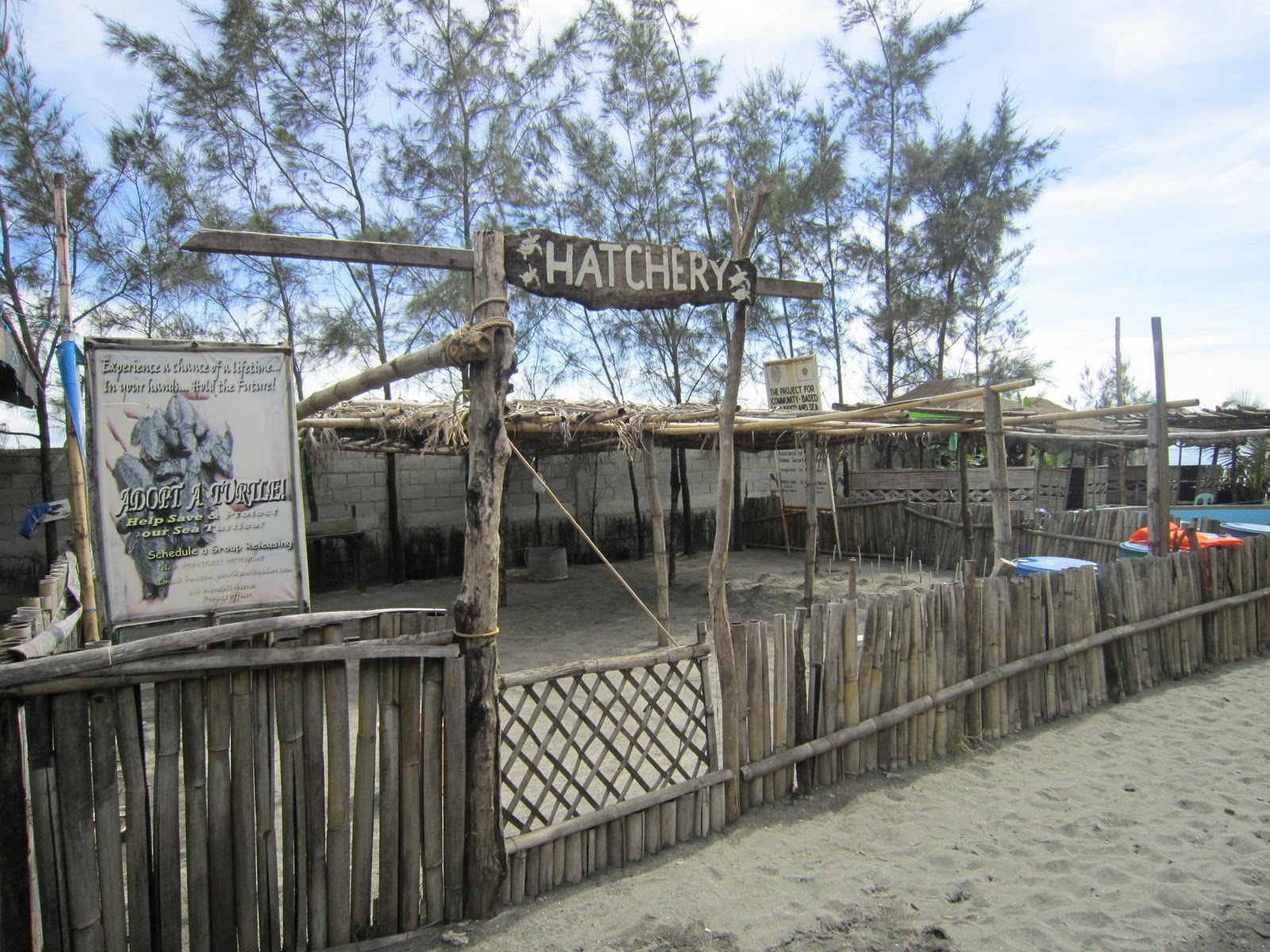 About Anything and Everything: Bataan: Pawikan Conservation Center!