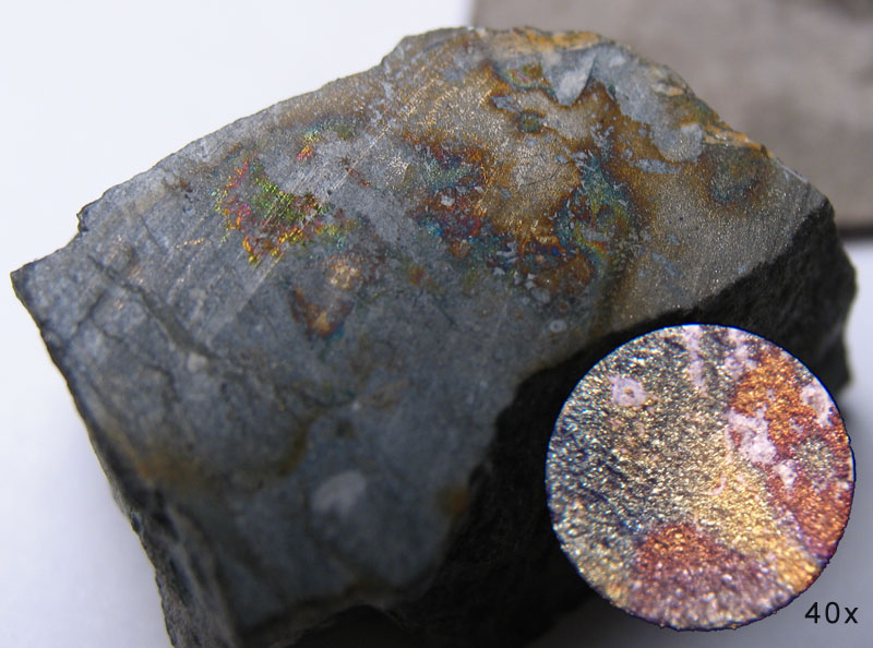 Louisville Fossils and Beyond: Gas Exploration in New Albany Shale