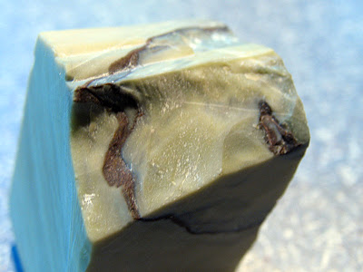 Louisville Fossils and Beyond: Archean Butterstone