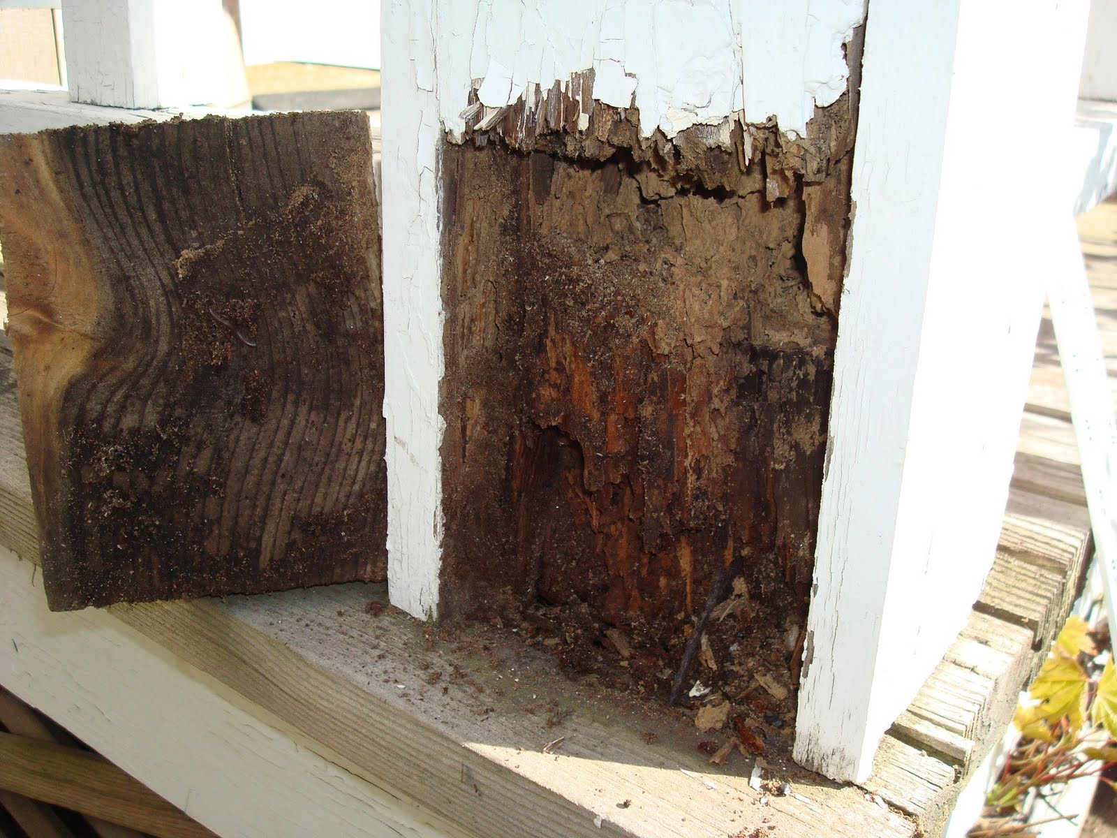 Hawkins House: May 2010