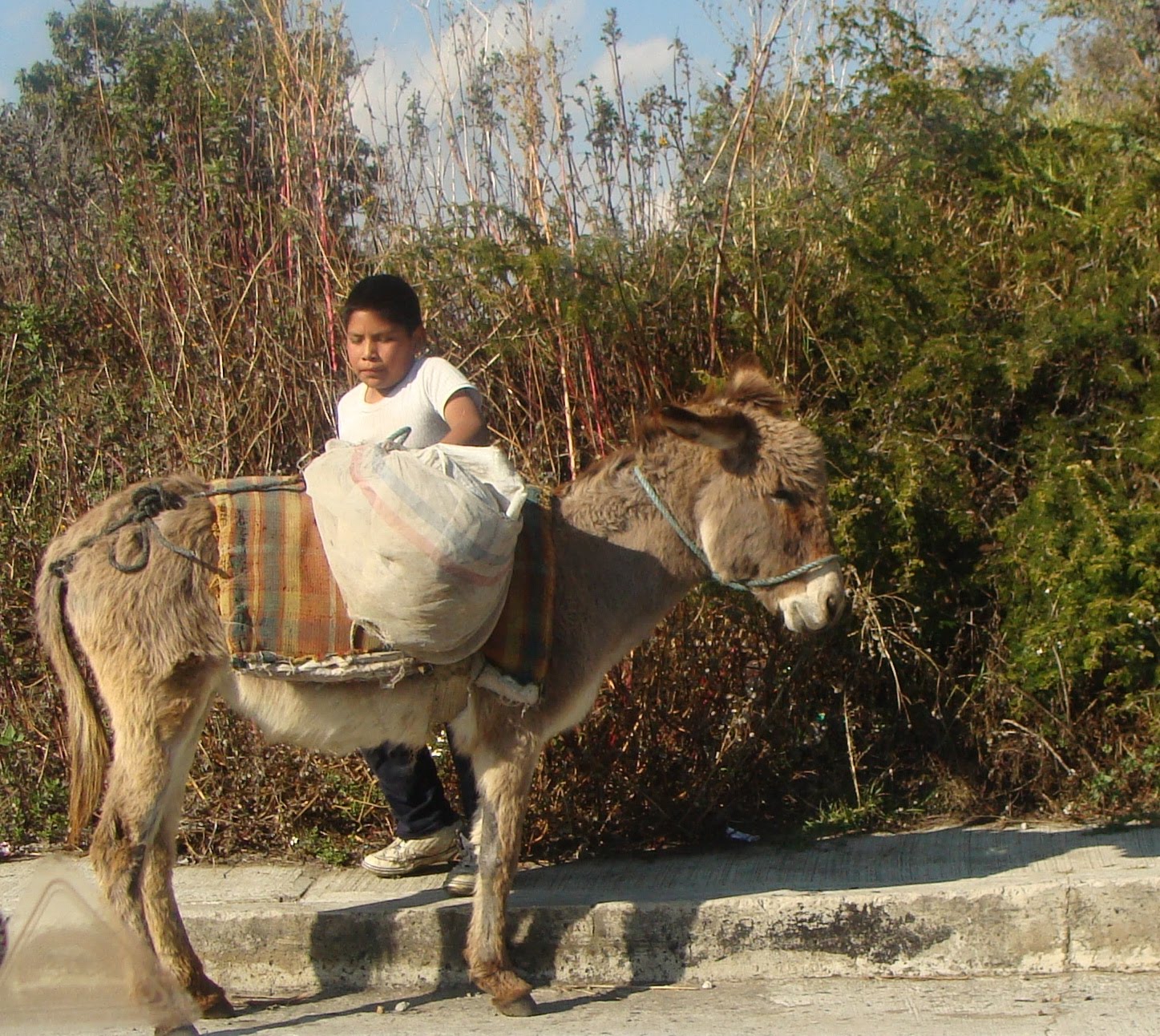 Matt and Chelsea Swenson