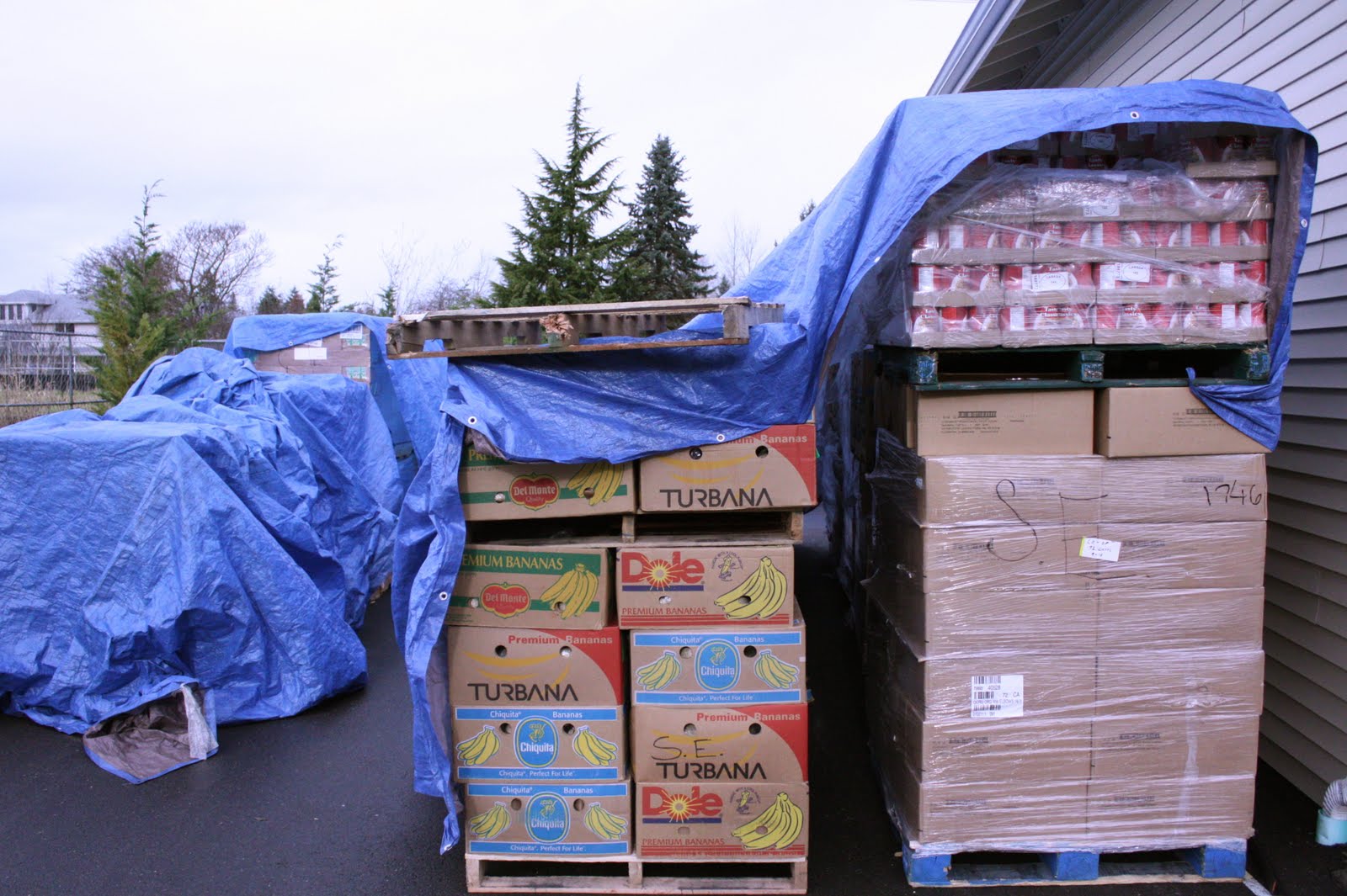 Washington Food Coalition News: Meet Our Members - Southeast Tacoma ...