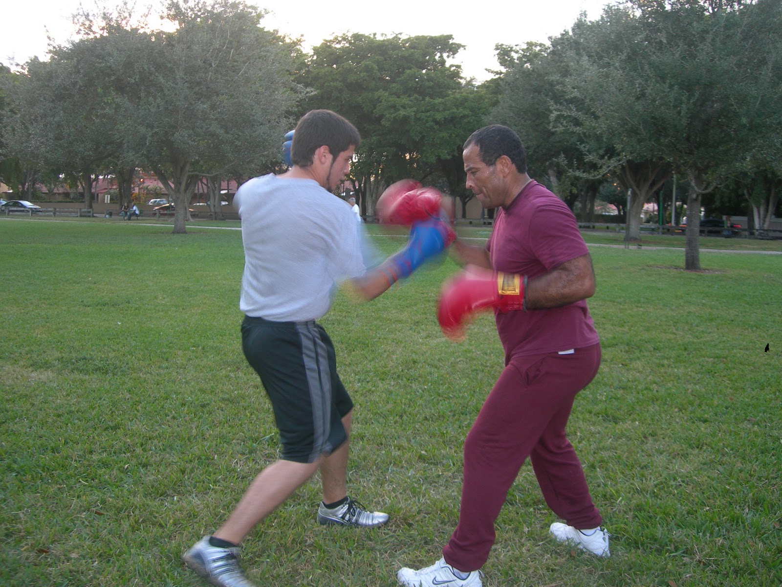 EL BOXEO SOY YO...: EL BOXEO UN DEPORTE MUY PROFESIONAL.