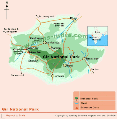 JUNAGADH ROCKS: Gir National Park In Gujarat