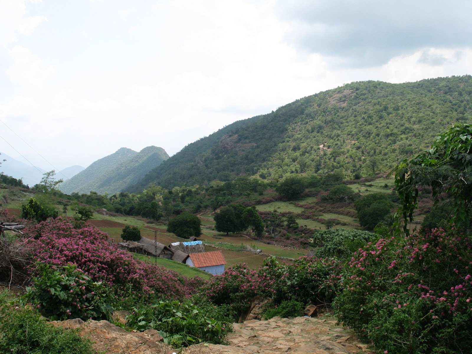 Team G Square: A trek to Nagamalai, Male Mahadeshwara betta