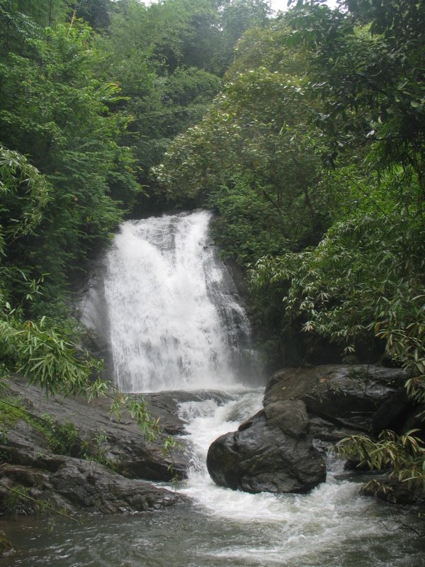Team G Square: Devaragundi Waterfalls, Thodikana, Sullia