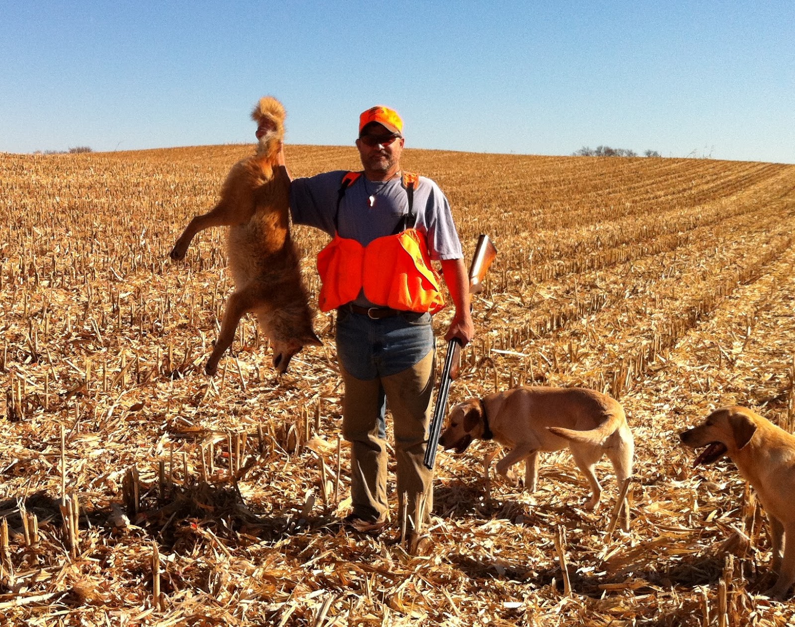 Yellow Dog Patrol: Minnesota Pheasant Opener 2010 Report