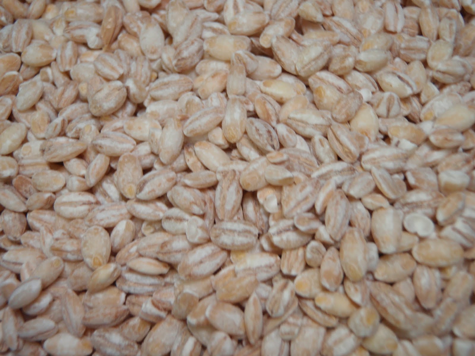 Vin de Pêche: Barley and Pine Nut Pilaf
