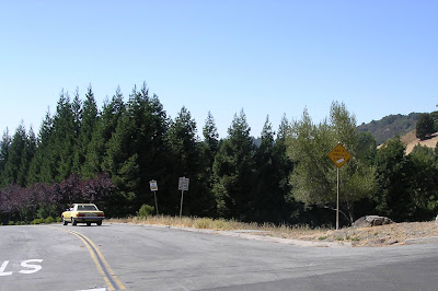 Oceanview bicycling journal: San Ramon to El Cerrito Plaza BART via ...