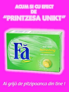 Copiii fara adapost...