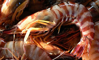 Marmaduke Scarlet: grilled prawns with honey and preserved lemon
