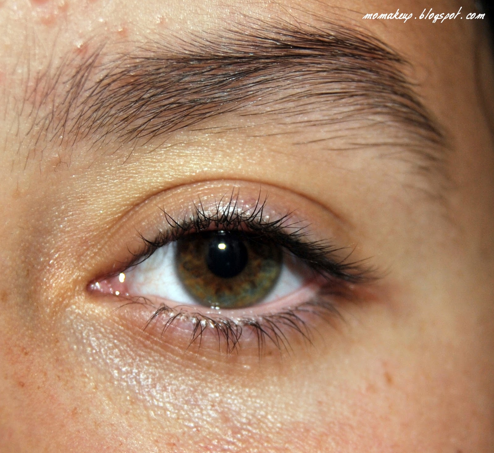 Mo Makeup: How to do: cejas perfectas.