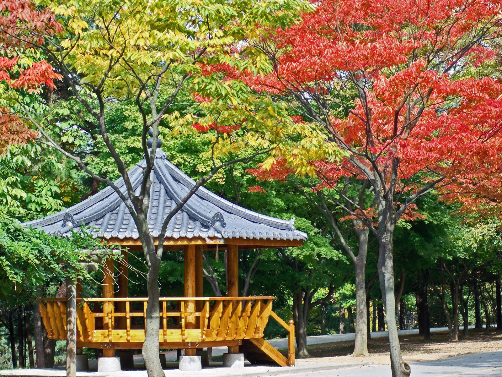 Kmon In: Beautiful Korea