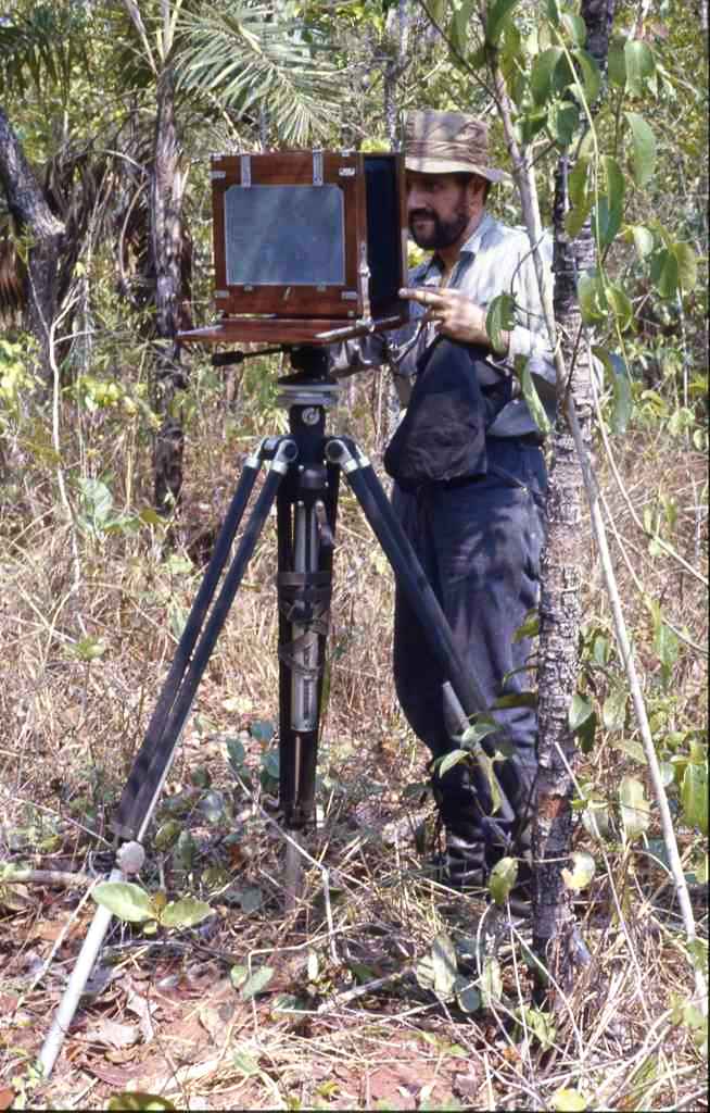 Herbário Universidade de Brasília - The Eiten Saga