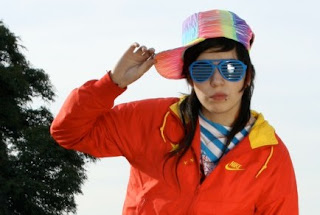 Metodologia Problematica.: ¿Quienes son los FLOGGERS?