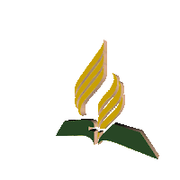 Igreja Adventista do Sétimo Dia de Morro Negro: Logos personalizados da ...