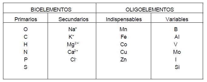 quimica del cuerpo humano: ¿A que se le llama oligoelementos y son