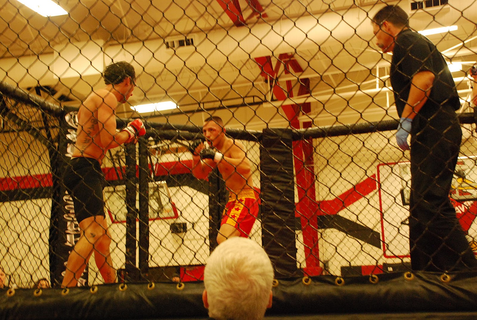 The Low Blow MMA/Boxing Podcast