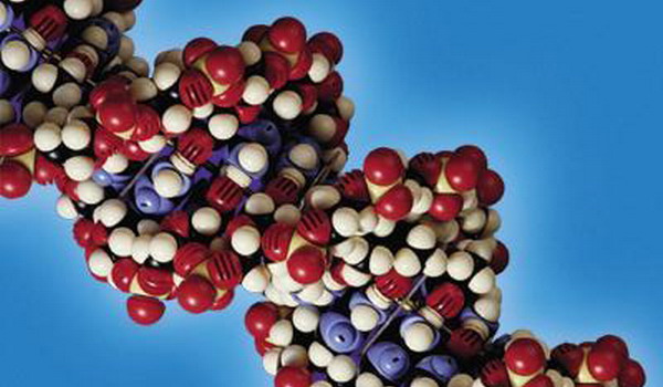 biologie12D: NOTIUNI DE GENETICA UMANA-Roman Andrei & Botez Alexandru