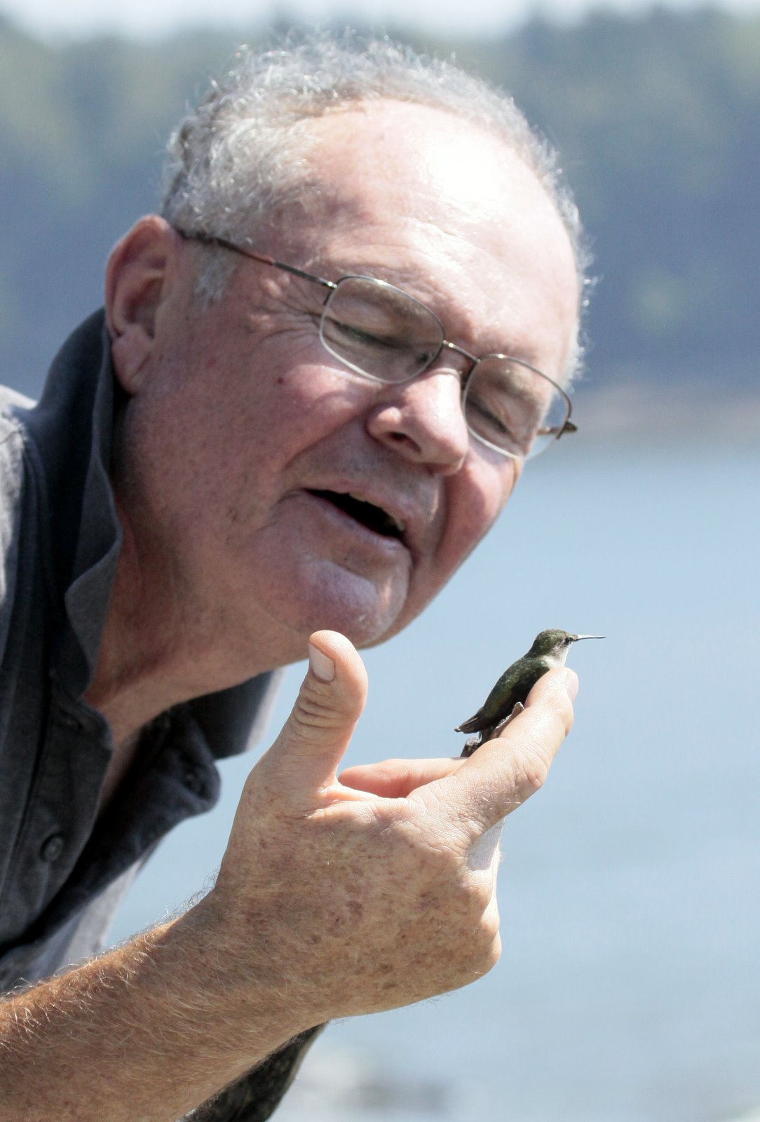 THE BACK STORY -: The Seamy Side Of Charlotte's Web - Hummingbird ...