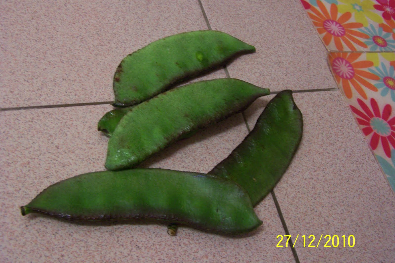 CINTA ITU DIA: Kacang Sepat