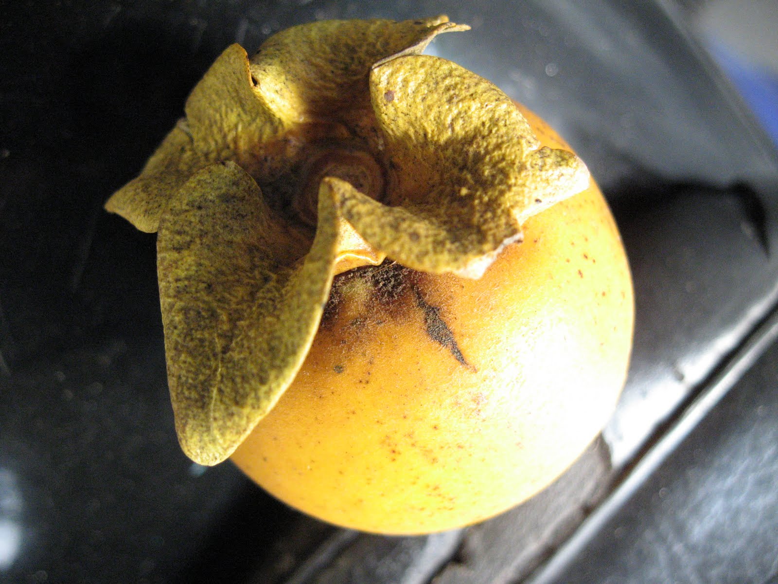 Photo-Feature: Jamshedpur: Kendu Paka