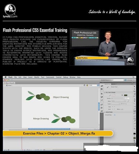 Free Tutorials: Lynda.com ActionScript 3 0 in Flash Professional CS5 ...