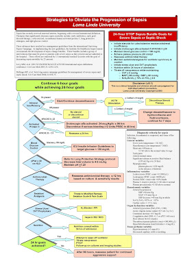 Doctors Gates: STOP Sepsis Bundle