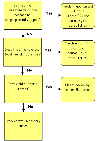 Doctors Gates: Assessment of Head injuries in children