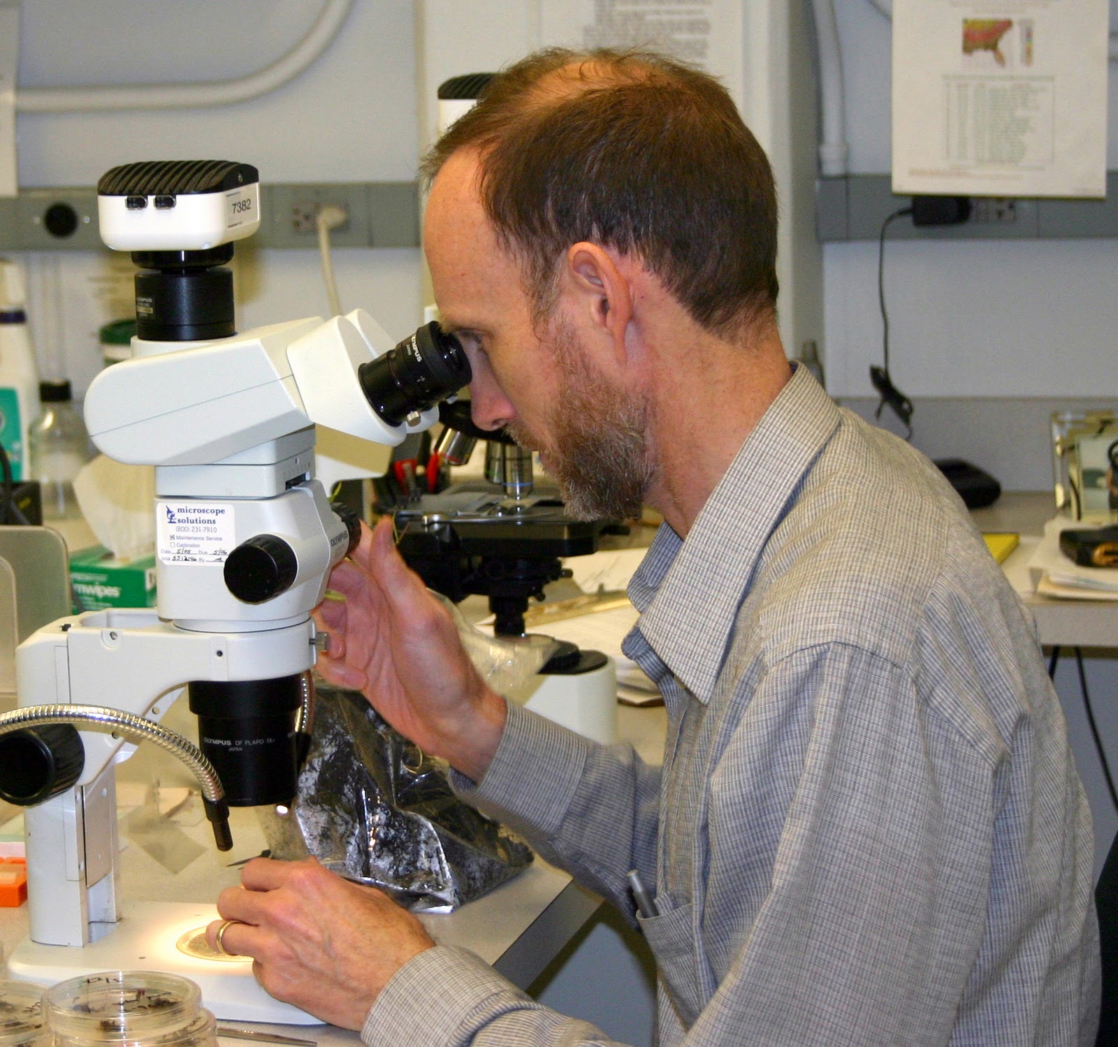 NCSU PDIC: Meet the Clinic Team