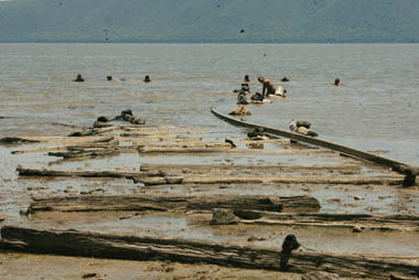La Gaiba: olvidada, rica y difícil de habitar | Mineria de Bolivia