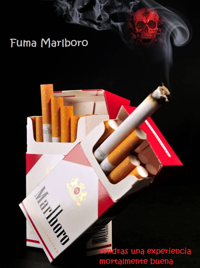Imag-ns Light: Antipublicidad
