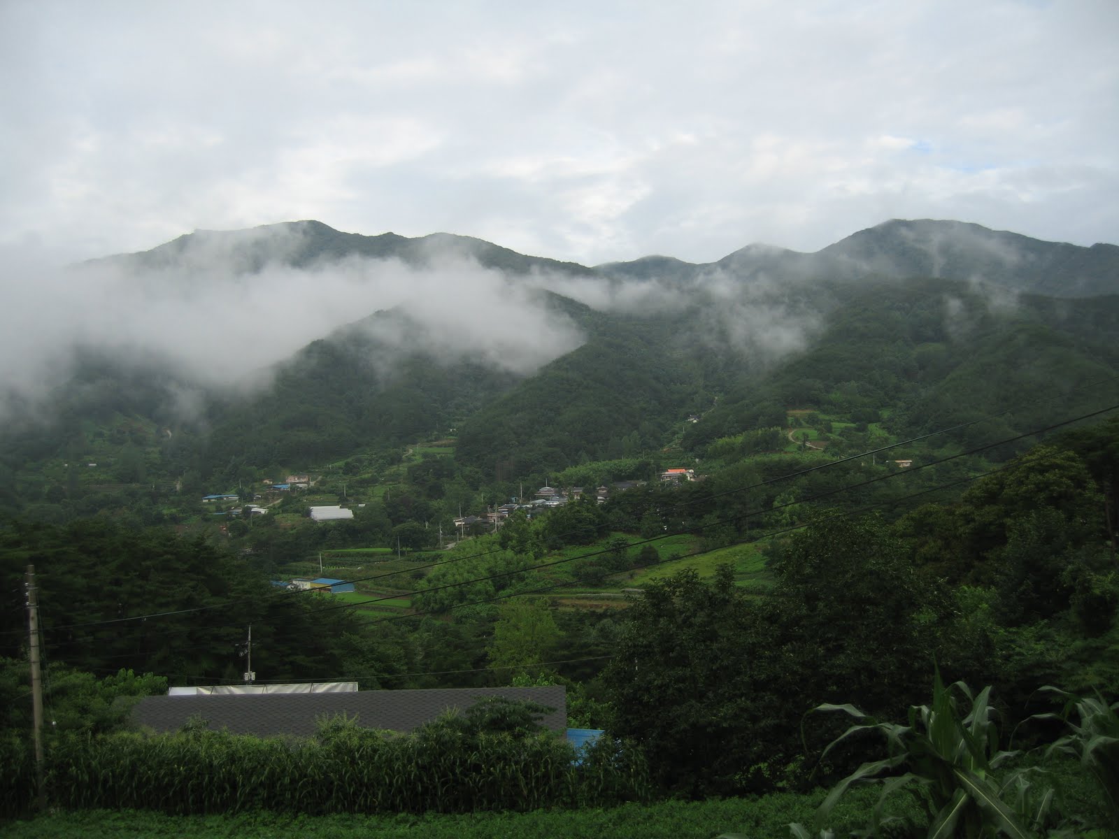 Dulle Olle: Mysterious trail in Mt. Jiri (The southeast Korea)