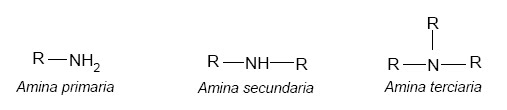 Química 3º medios electivos: Aminas