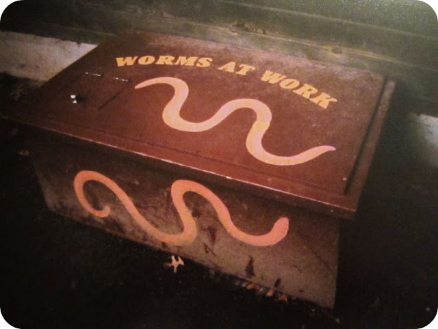 four-eyes rella: Final Seattle Post (maybe) - The Zoo!