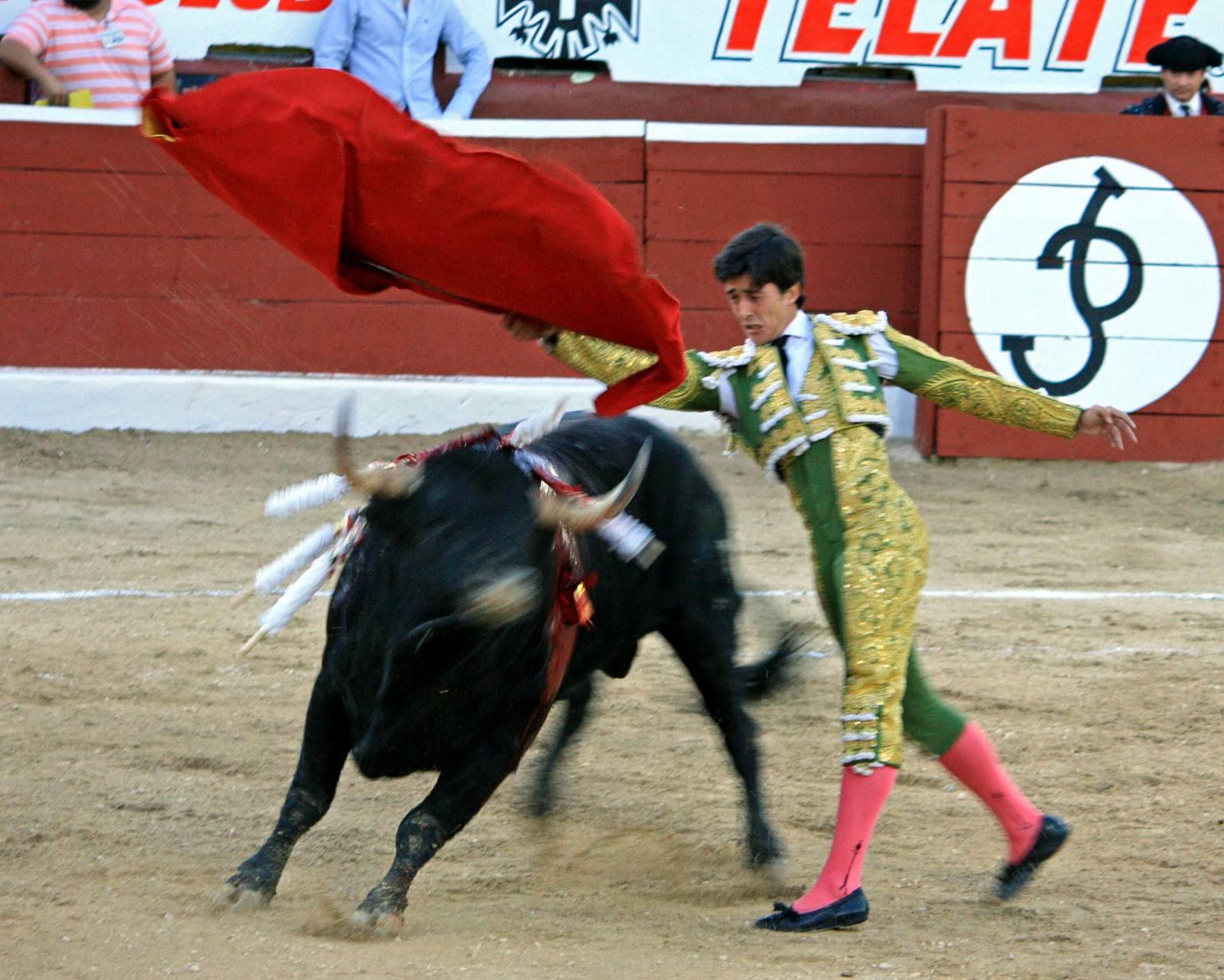 Deb and Ed Full Steam Ahead!!: The Bull Fight