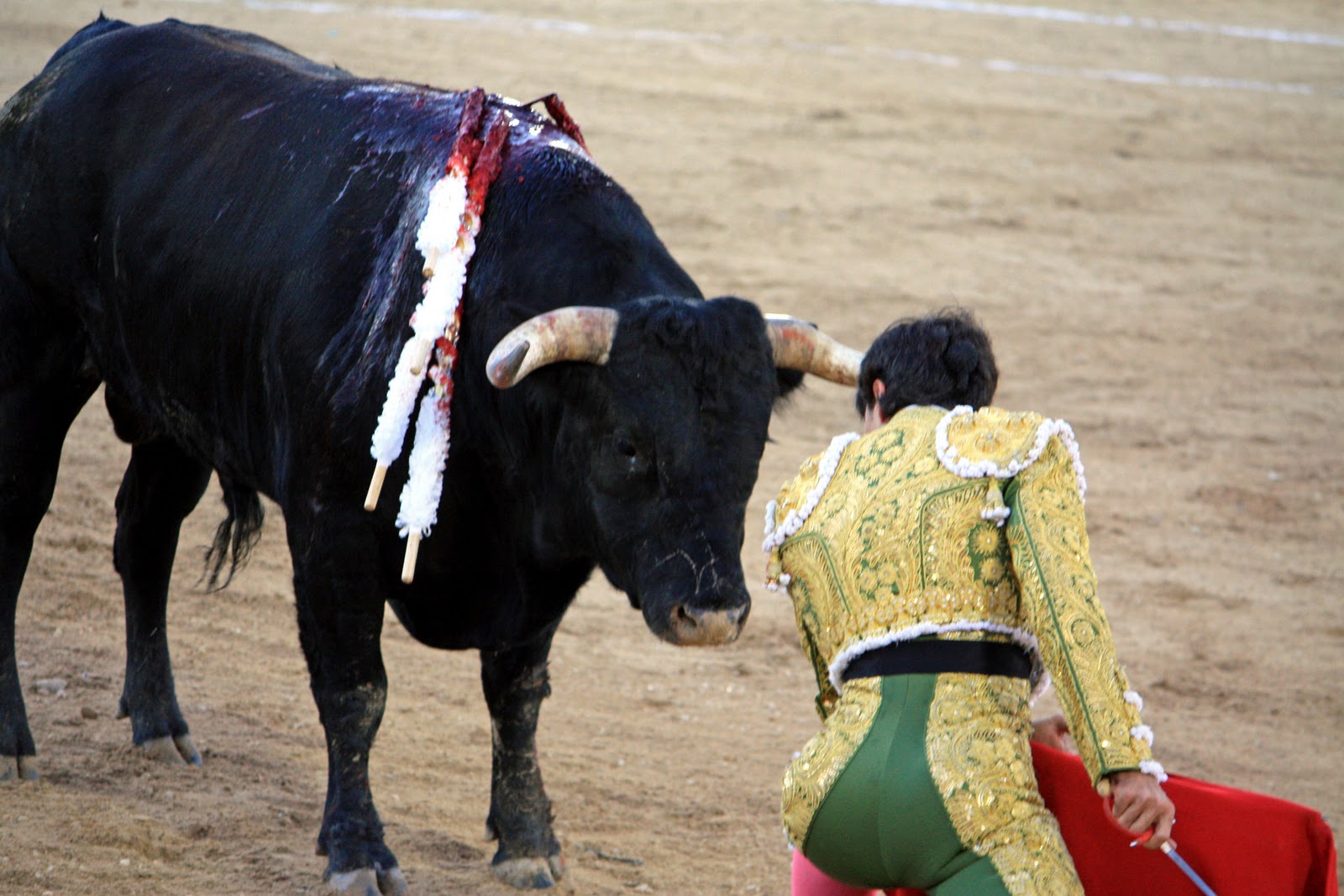 Deb and Ed Full Steam Ahead!!: The Bull Fight