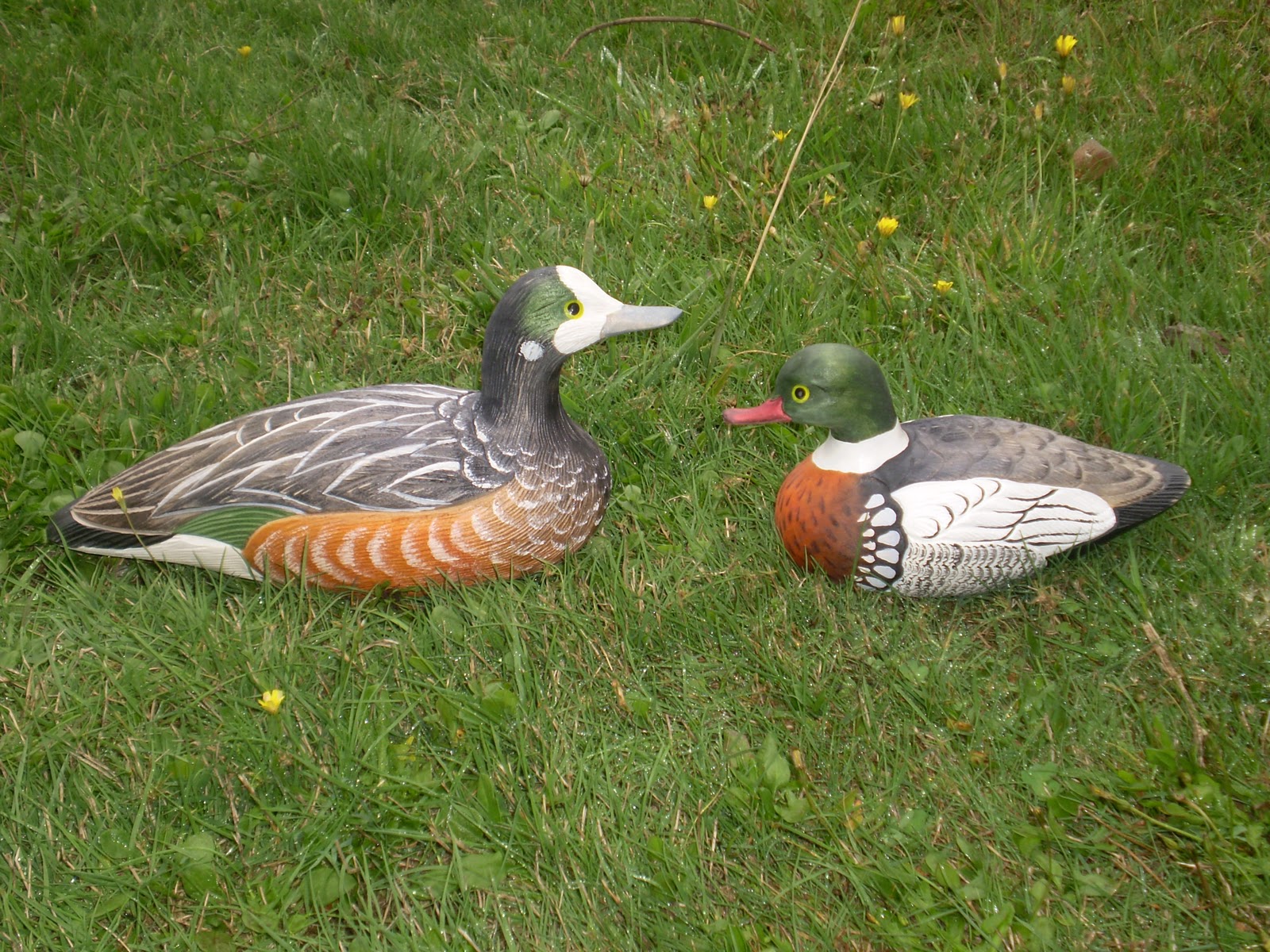 TALLADOS HERRERA: Patos