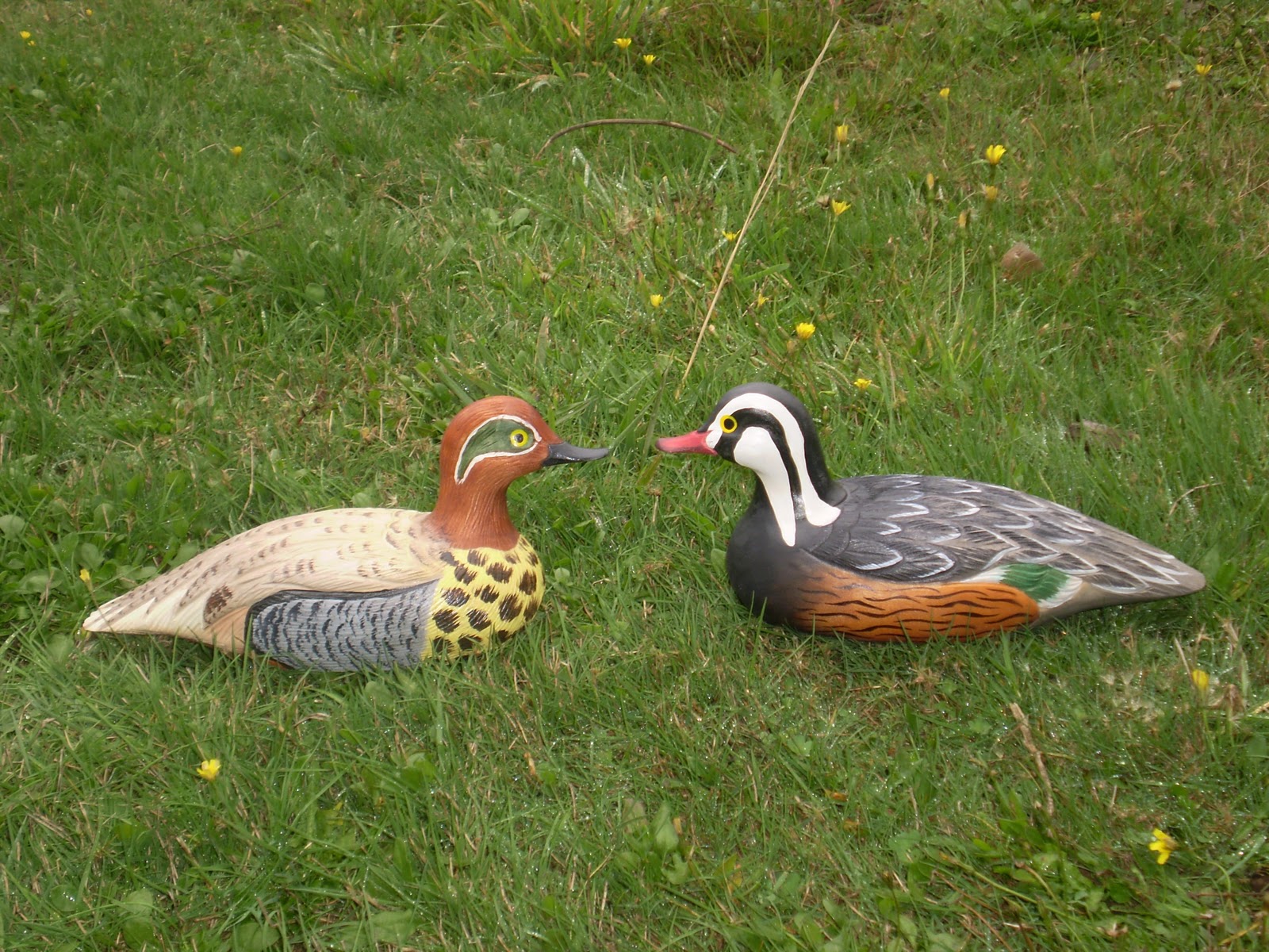 TALLADOS HERRERA: Patos