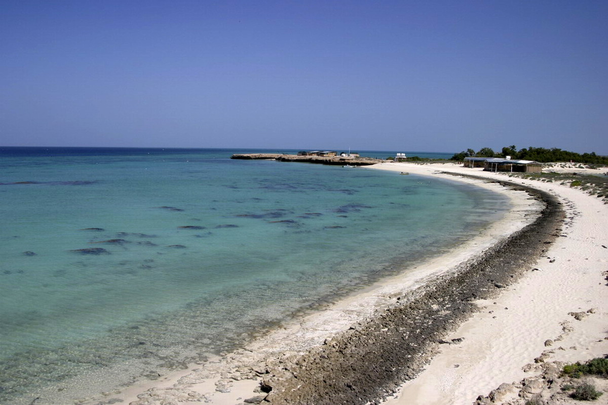 F5IRO Freddy: Ile Maskali - AF053