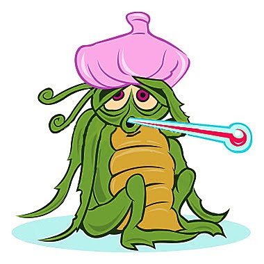 SUZAIRHESUMARI: FLU BUG IS IN THE AIR....