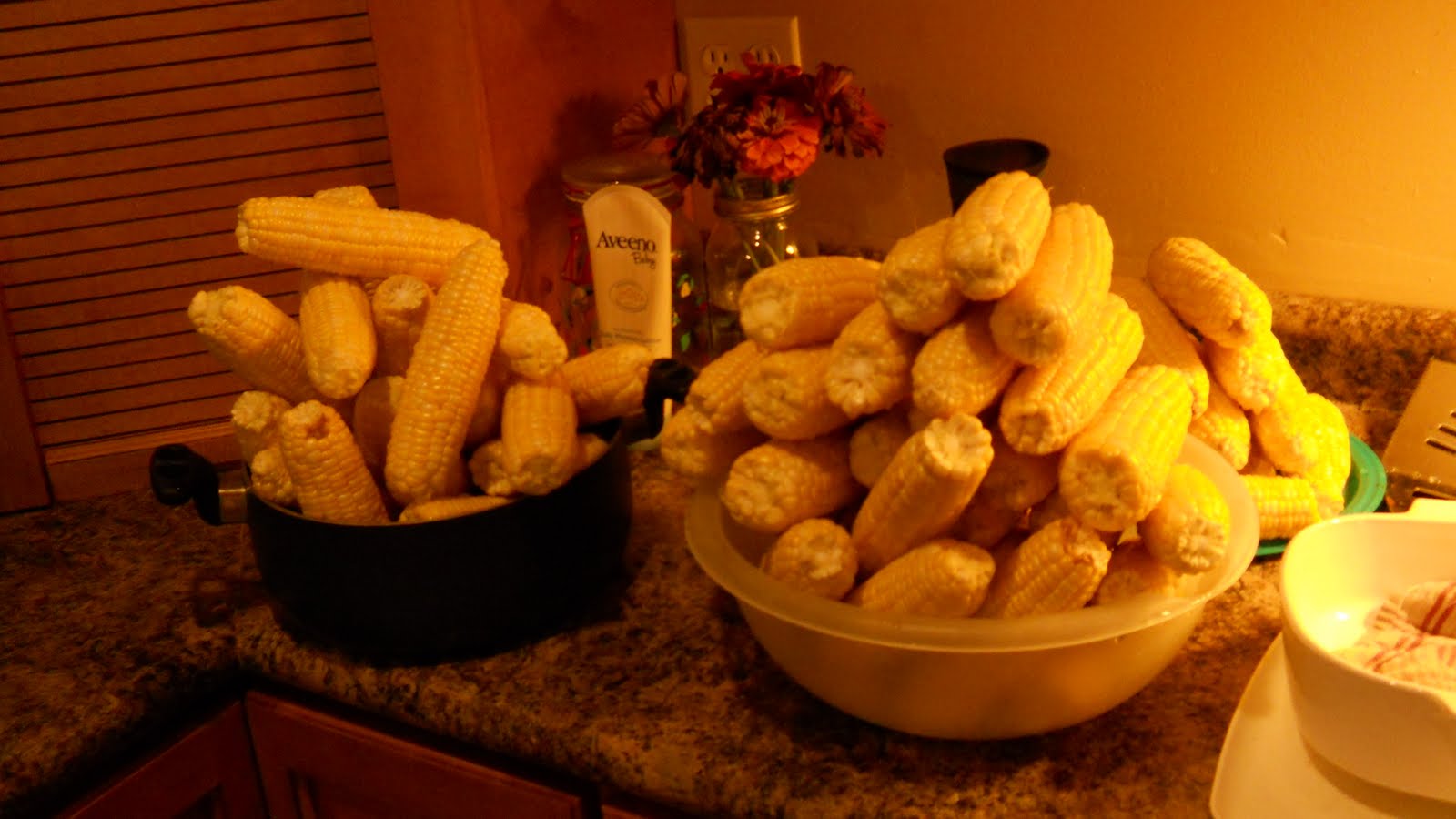 Extraordinary Ordinary Life: Corn, Corn, Everywhere Corn