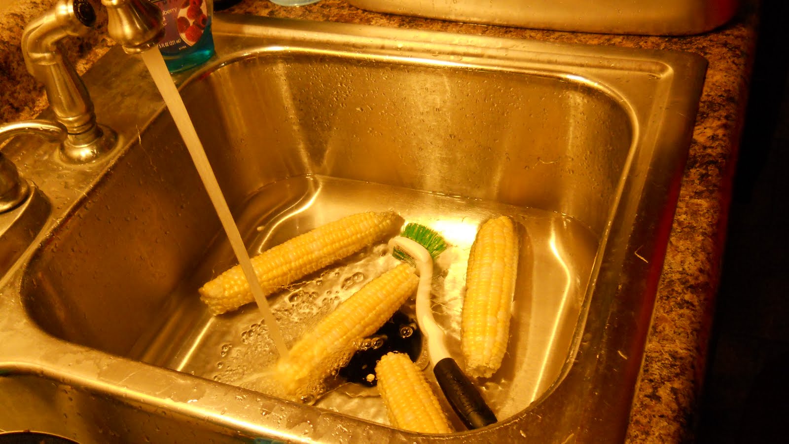 Extraordinary Ordinary Life: Corn, Corn, Everywhere Corn