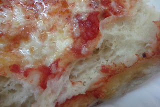 Learning Knowledge to Make Pizza: Milk Kefir poolish Pizza with added ...