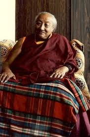 BuddhaGrams: Dilgo Khyentse Rinpoche