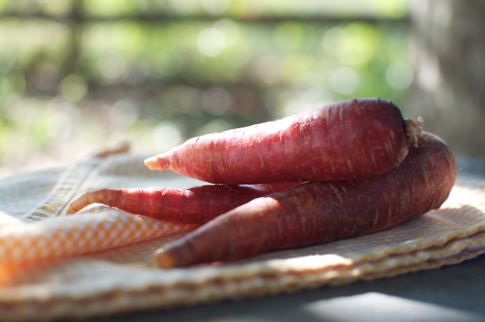 Where to Eat Vegan: Carotte Rapée