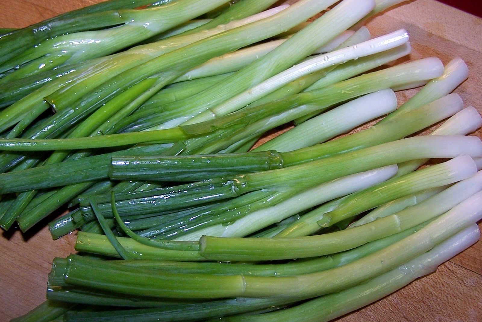 Olla-Podrida: Scallion Soup