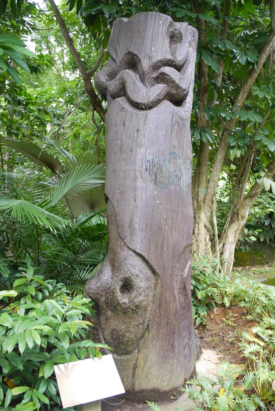 Sawpo's: Changi Tree @ Singapore Zoo
