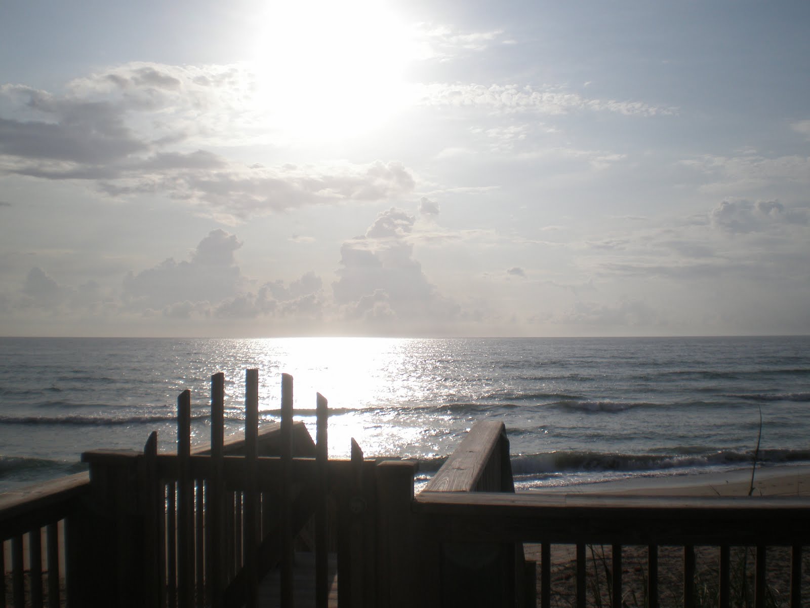 Ecotage Revolution: Interpretive Photography